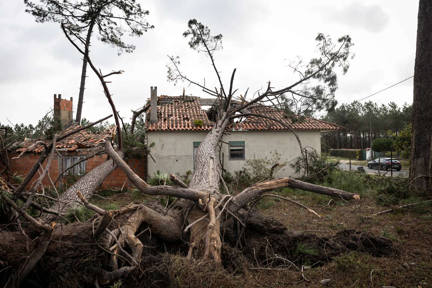 Tempestade Kristin: A Resiliência de Leiria em Tempos Difíceis – Filipe ...